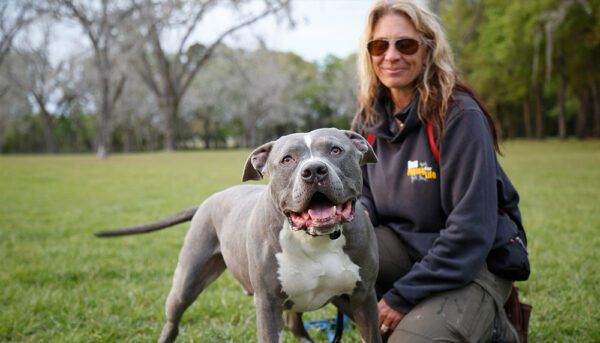 About - Dogs Playing for Life - "Let them Play!"