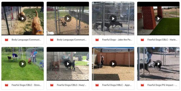 Resources - Dogs Playing for Life