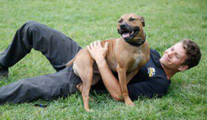 Home - Dogs Playing for Life